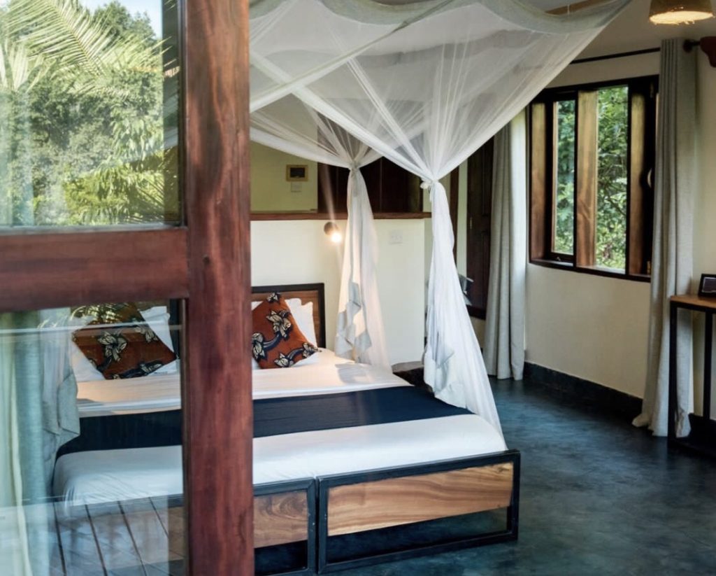 Turaco Treetops Lodge : Lodges in Kibale National Park